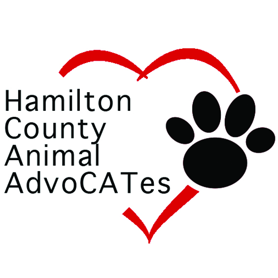 Hamilton County Animal AdvoCATes puts on second annual Coins For Cats ...